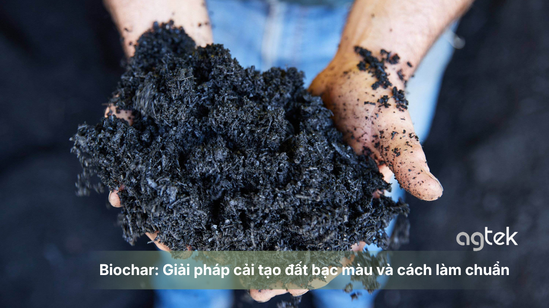 Biochar: Giải pháp cải tạo đất bạc màu và cách làm chuẩn - Agtek